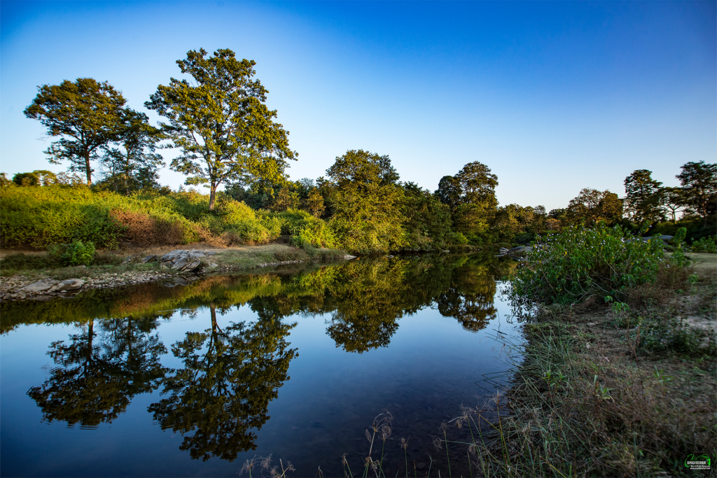 Kanha National Park Tiger Safari -Kipling's Land| Ameliya Safaris