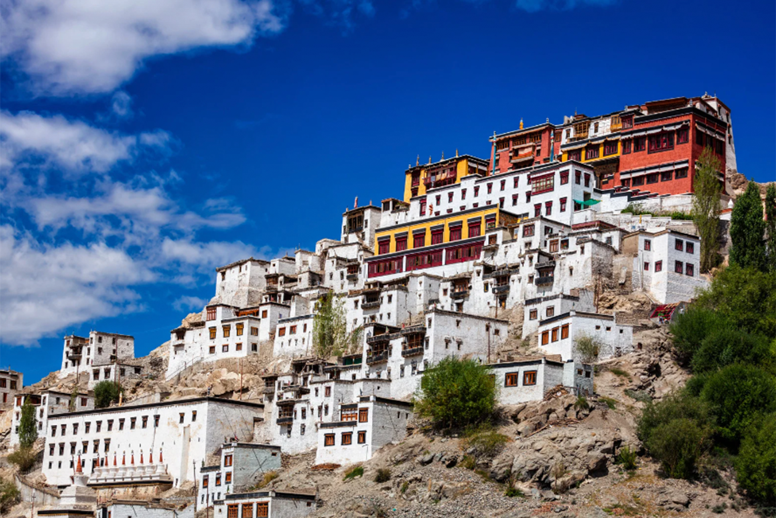 A Snow leopard safari adventure in the Himalayas | Ameliya Safaris