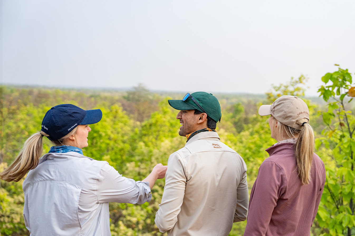 Ameliya Safaris | Redefining Safari Experiences