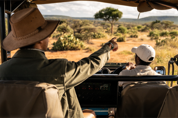 Ameliya Safaris | Redefining Safari Experiences